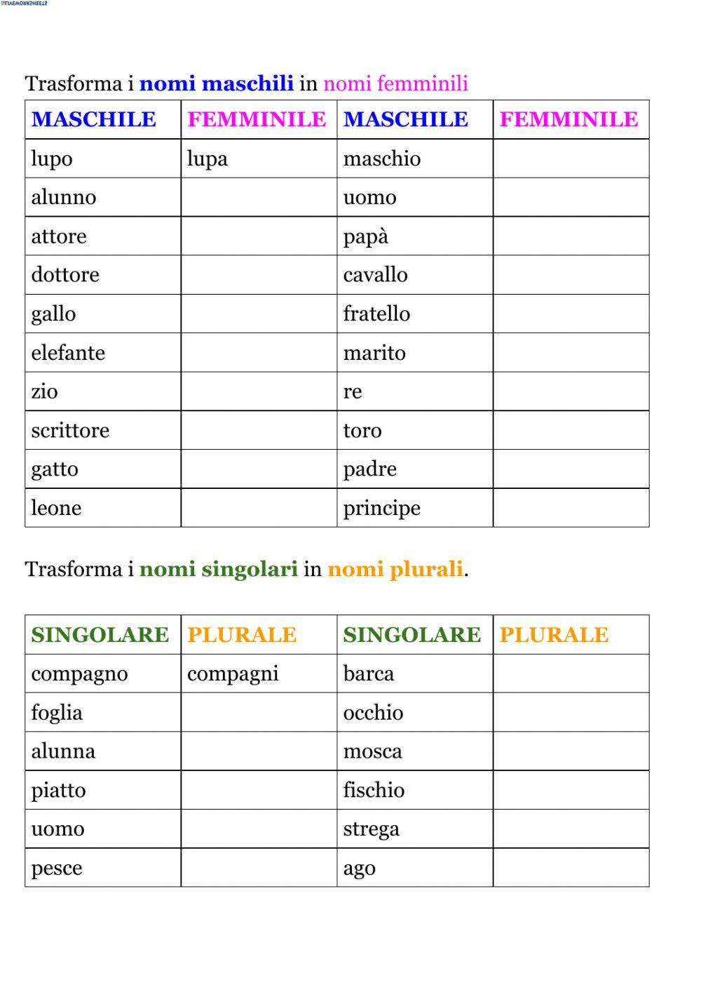 Trasforma i nomi worksheet | Live Worksheets