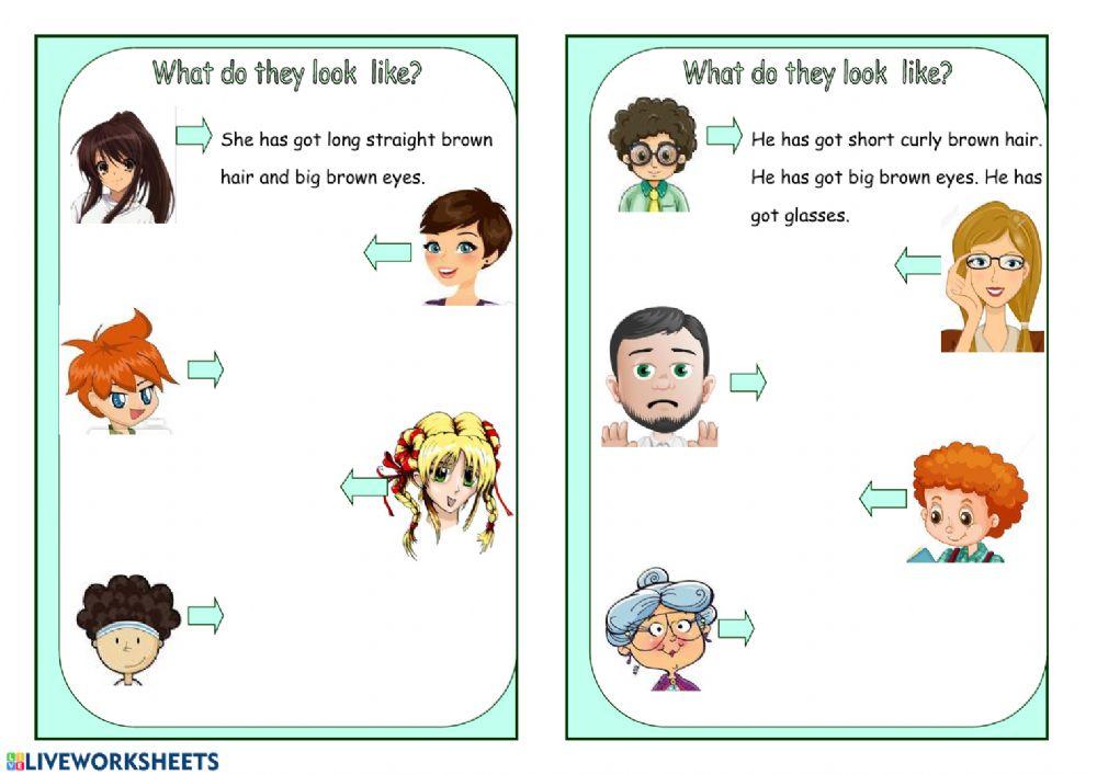 What do they lo… | Free Interactive Worksheets | 71423