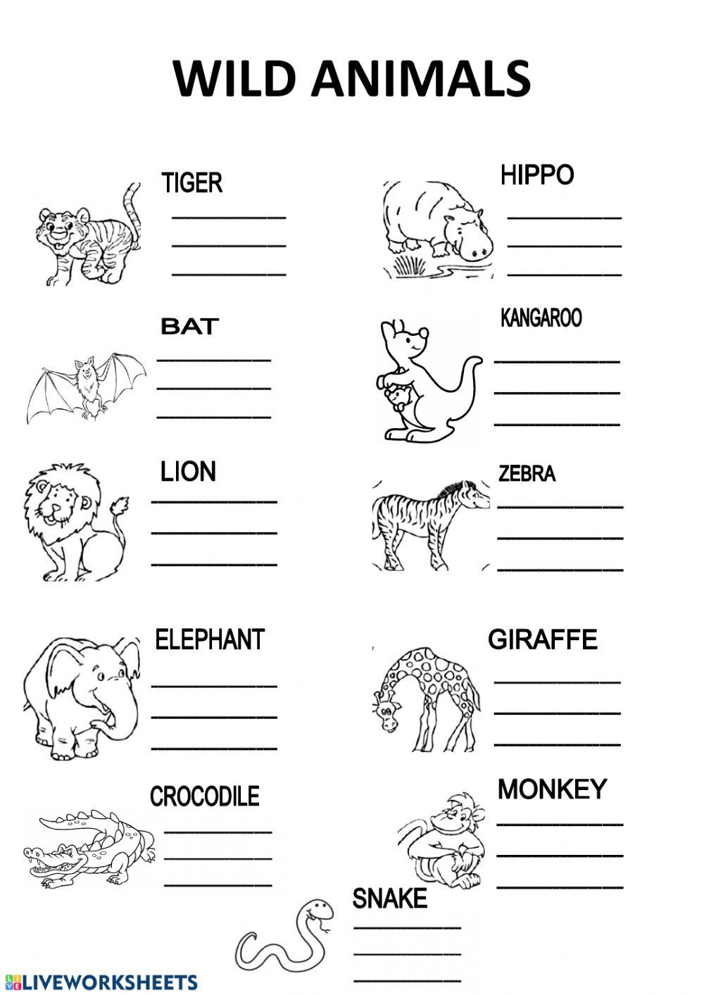71792 | Wild animals | valeoxford | LiveWorksheets