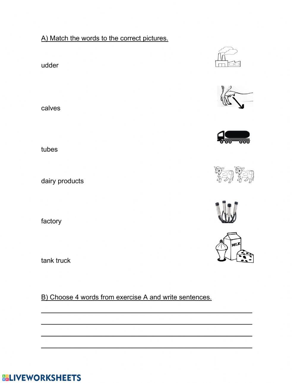 Making milk vocabulary worksheet | Live Worksheets