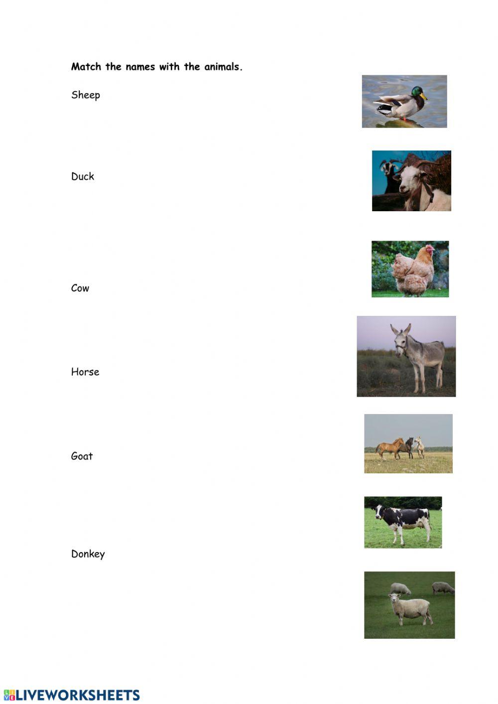 Animals interactive activity for 1 | Live Worksheets