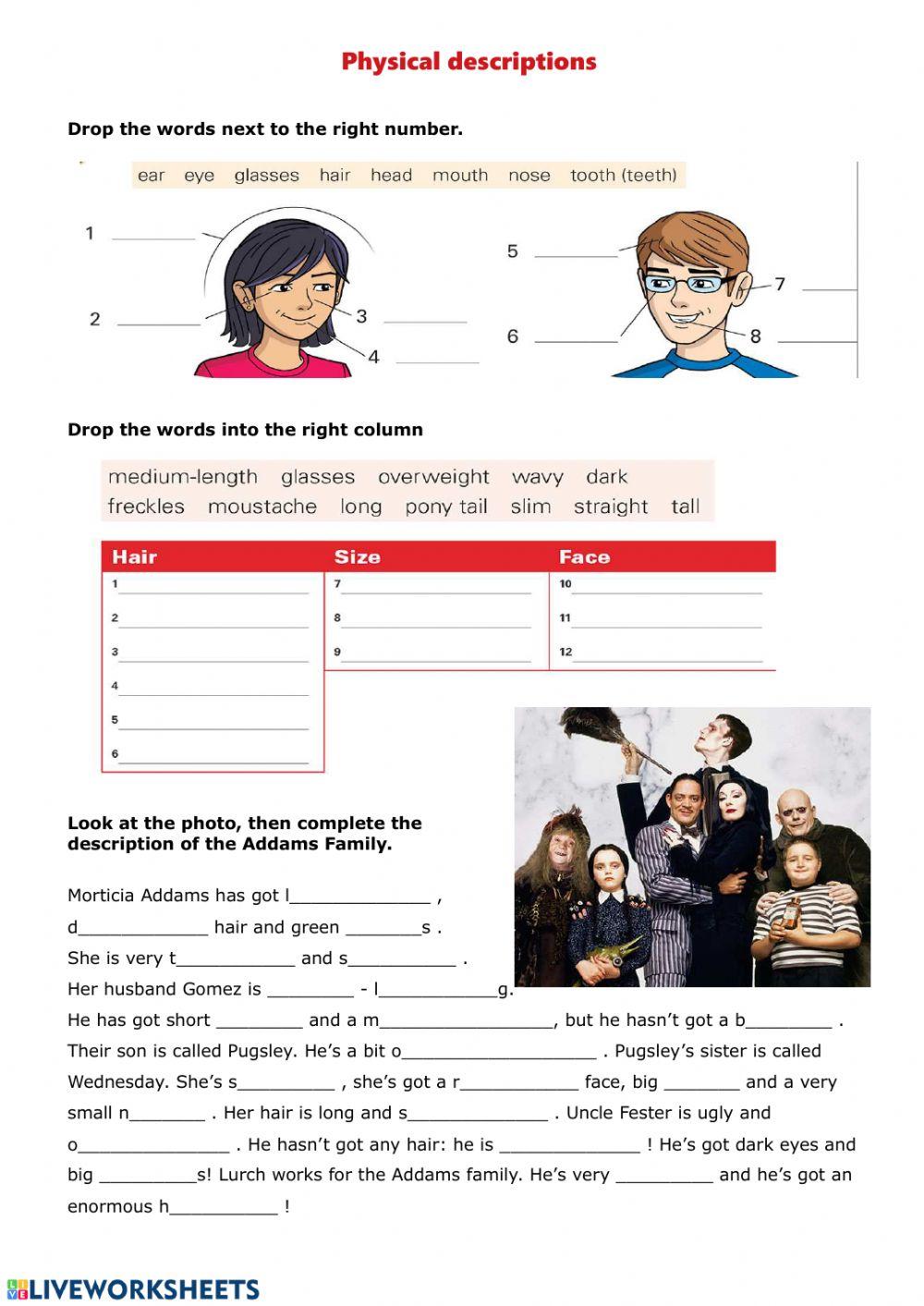 1304112 | Physical description | Manuela Baldi