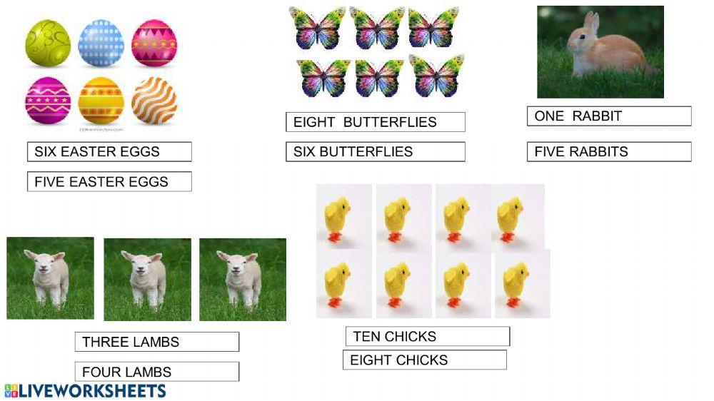 How many? read and choose 73569 | Franca Stefania Durante