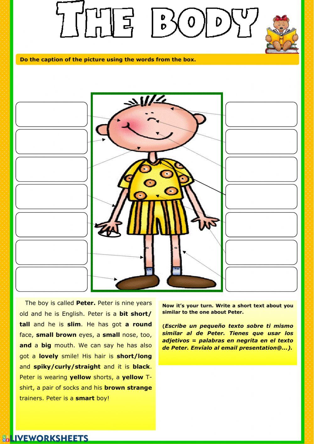 The body | teacheralqueria2 | Live Worksheets