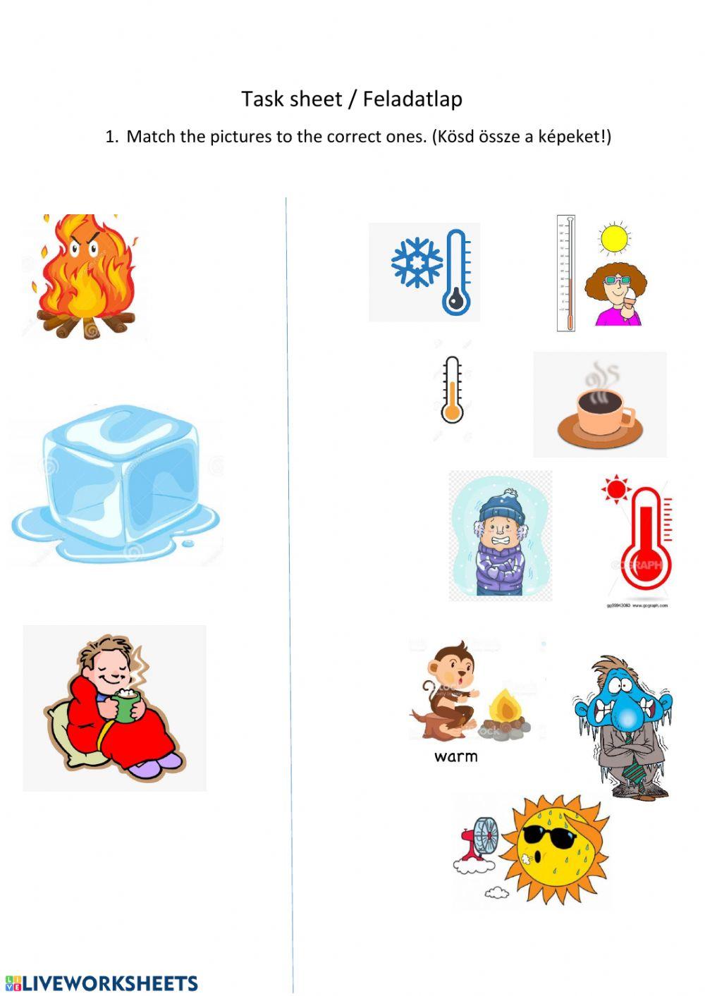 Match interactive exercise | Live Worksheets