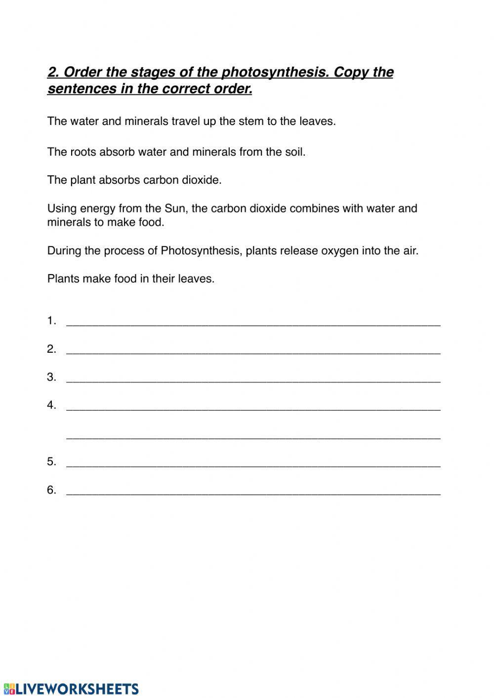 Photosynthesis interactive exercise | Live Worksheets