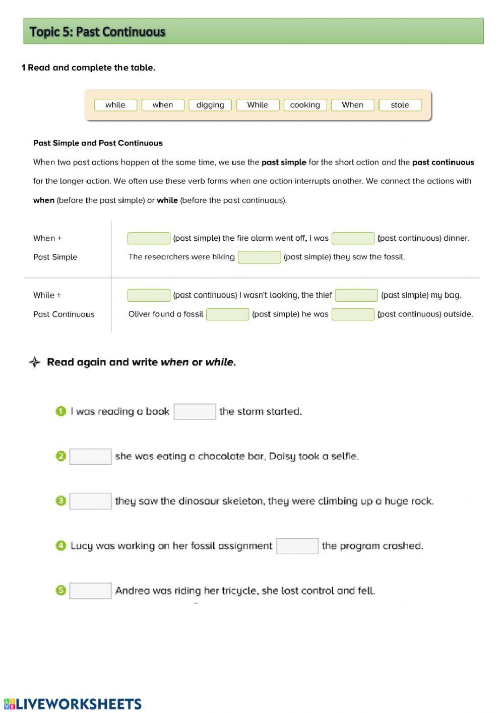 Vocabulary and Past Continuous worksheet | Live Worksheets