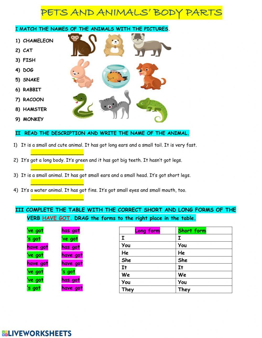 93100 | Pets, body parts and have got | marija79vuk