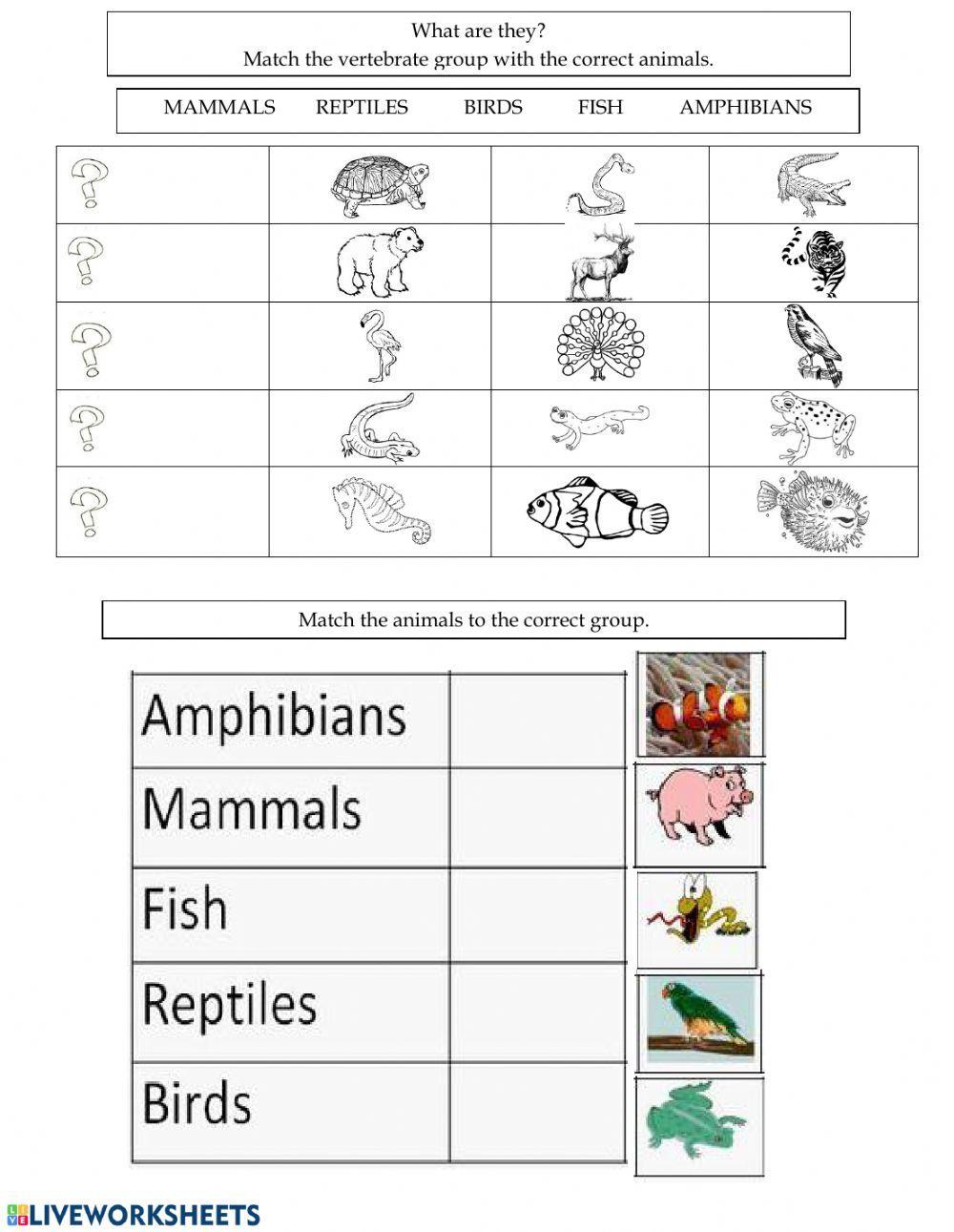Vertebrates | Free Interactive Worksheets | 93114