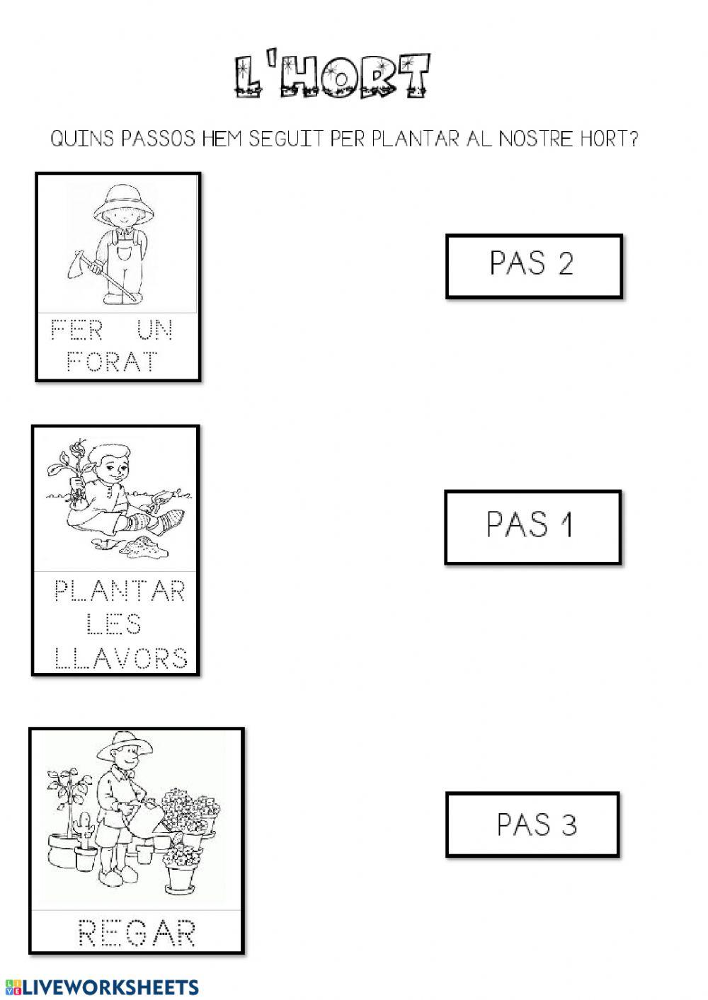 Hort interactive worksheet | Live Worksheets