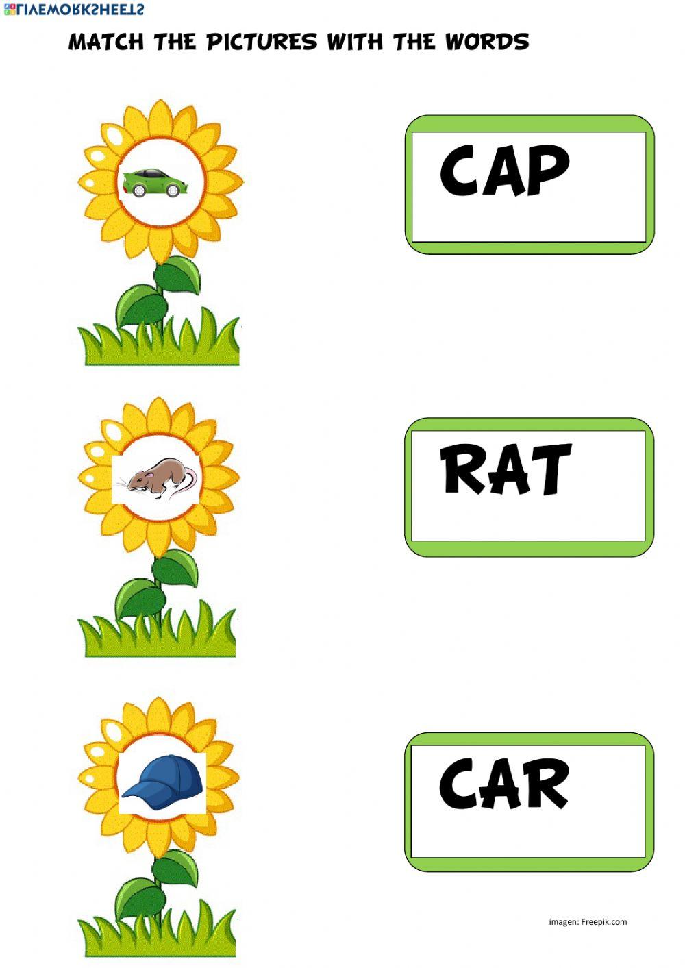 CVC words online worksheet | Live Worksheets