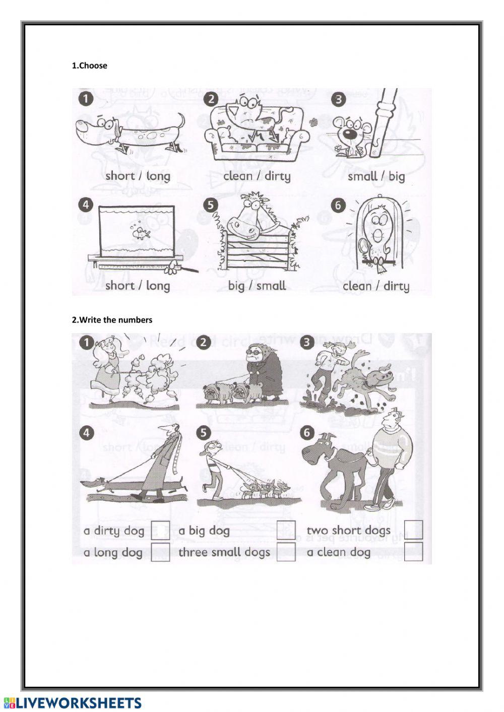 Simple adjectiv… | Free Interactive Worksheets | 95488