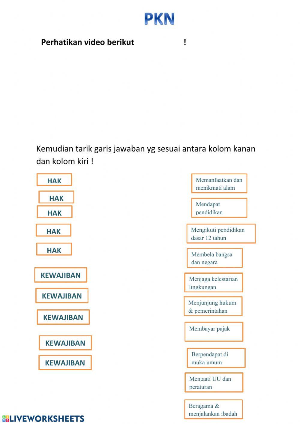 Pkn | Free Interactive Worksheets | 95999