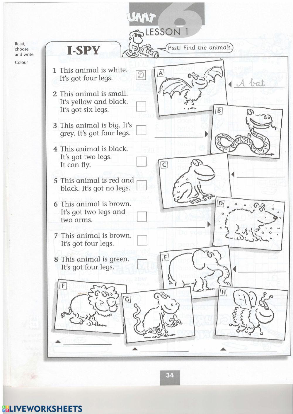 Find the animals 5466205 | Tanja Jovanovic Pap | Live