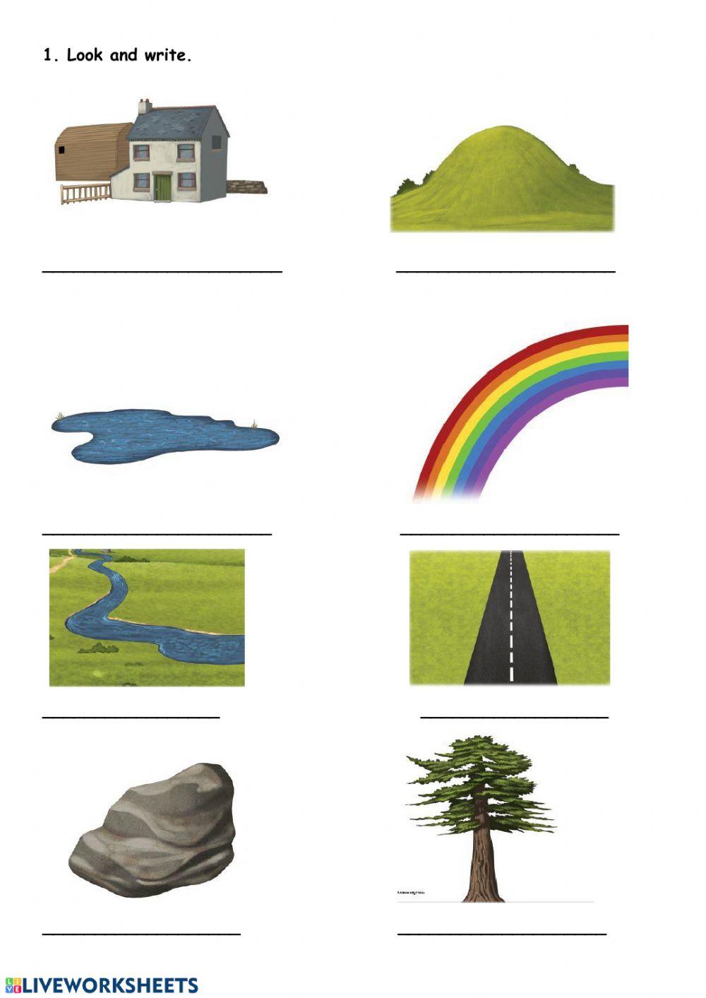 Countryside activity | Live Worksheets