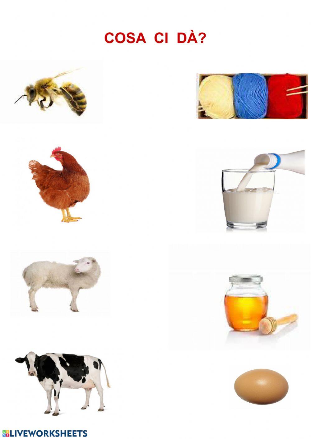 Cosa ci dà? worksheet | Live Worksheets