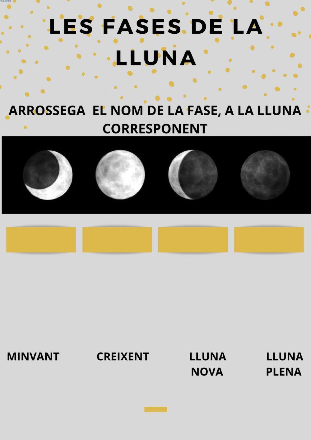 Fases de la Lluna worksheet | Live Worksheets