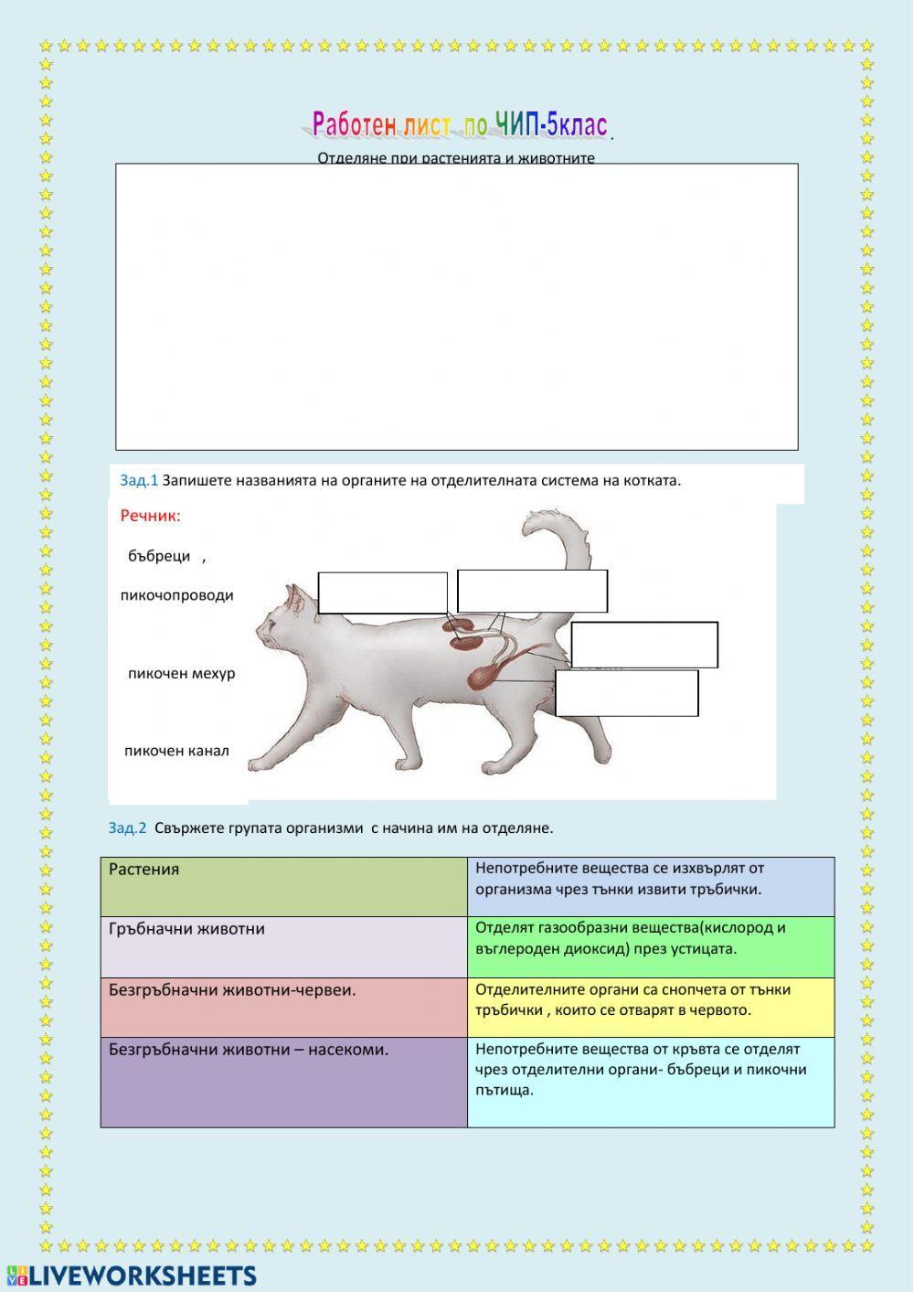 Отделяне при растения и животни Worksheet Live Worksheets