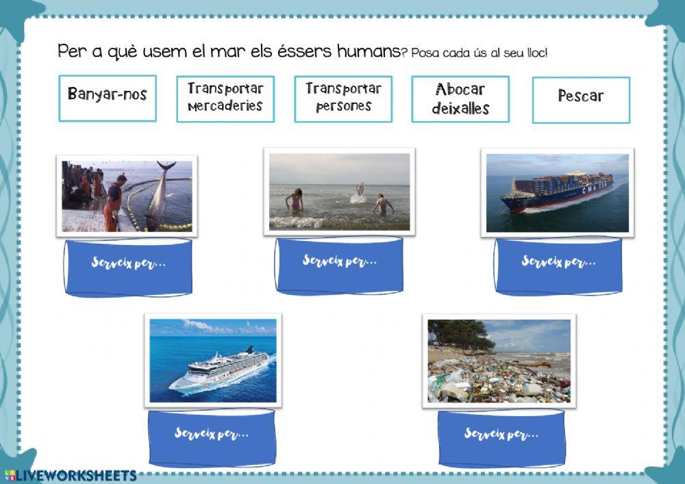 Transforma 15 abril worksheet | Live Worksheets