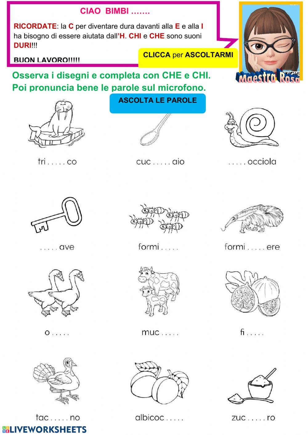 Suoni duri CHI CHE interactive worksheet | Live Worksheets