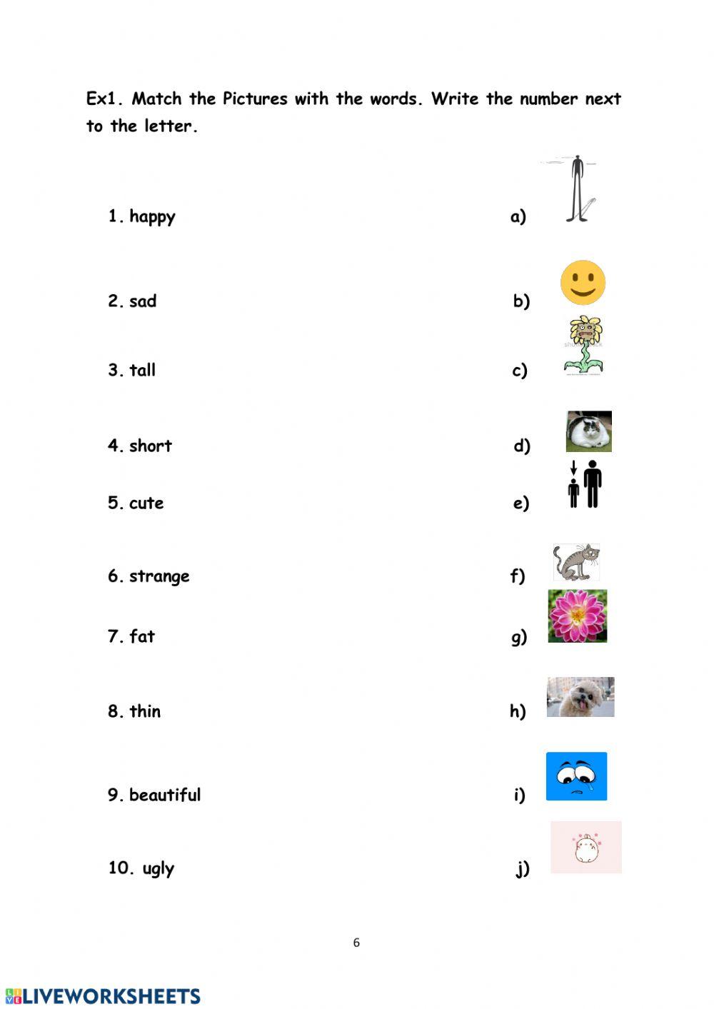 Adjectives workbook worksheet | Live Worksheets