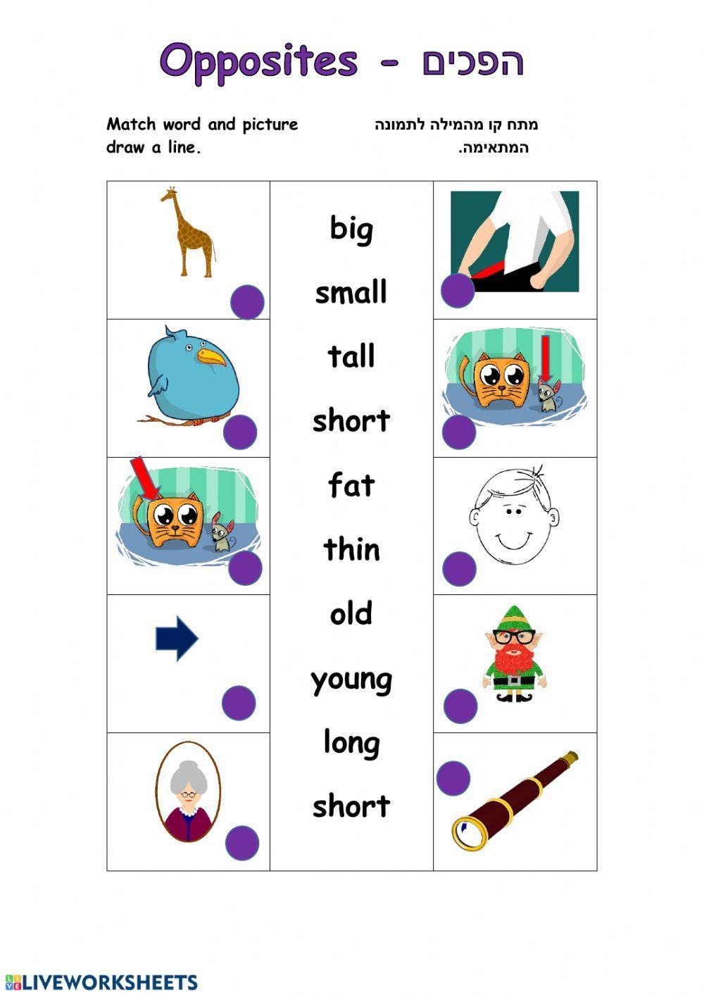 103127 | Opposite Adjectives | Dafna Zaid