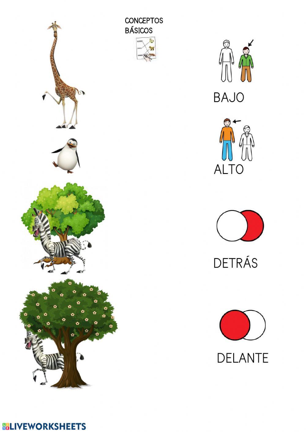 Conceptos básic… | Free Interactive Worksheets | 104007 Conceptos básic… | Free Interactive Worksheets | 104007