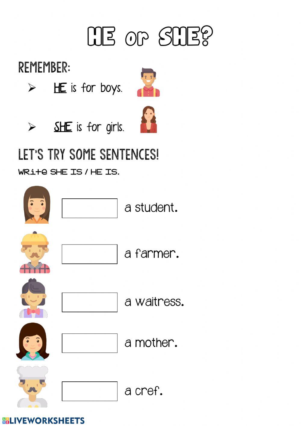 He or She | Free Interactive Worksheets | 104256