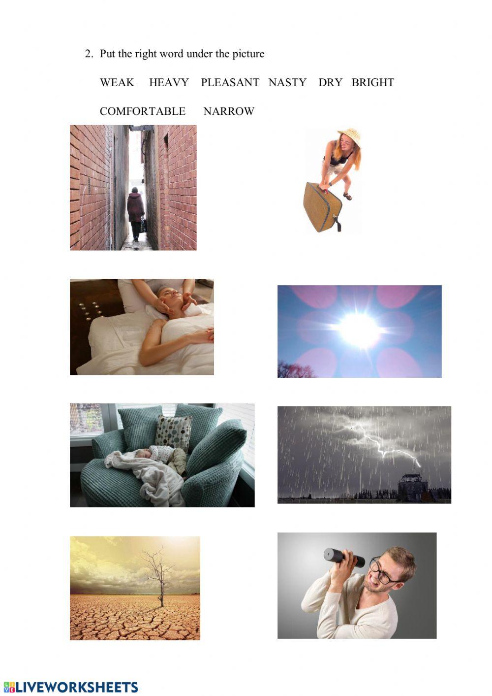 Adjectives online activity for Grade 4 | Live Worksheets