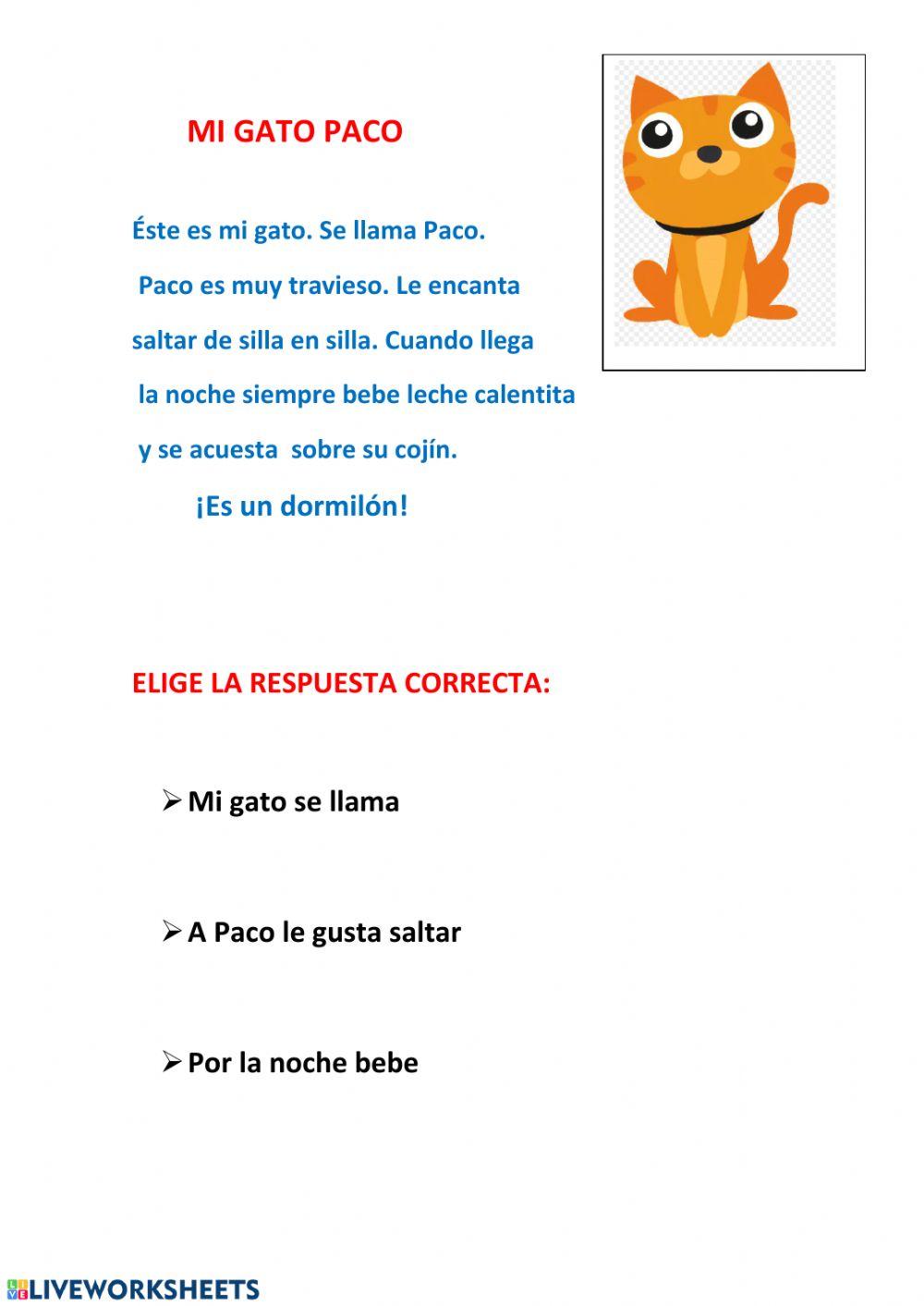 Mi gato paco | Petronila Moreno | Live Worksheets