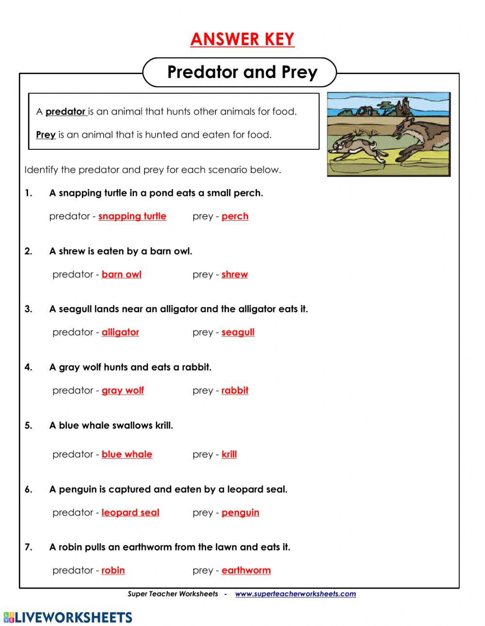 predator and prey online exercise for | Live Worksheets
