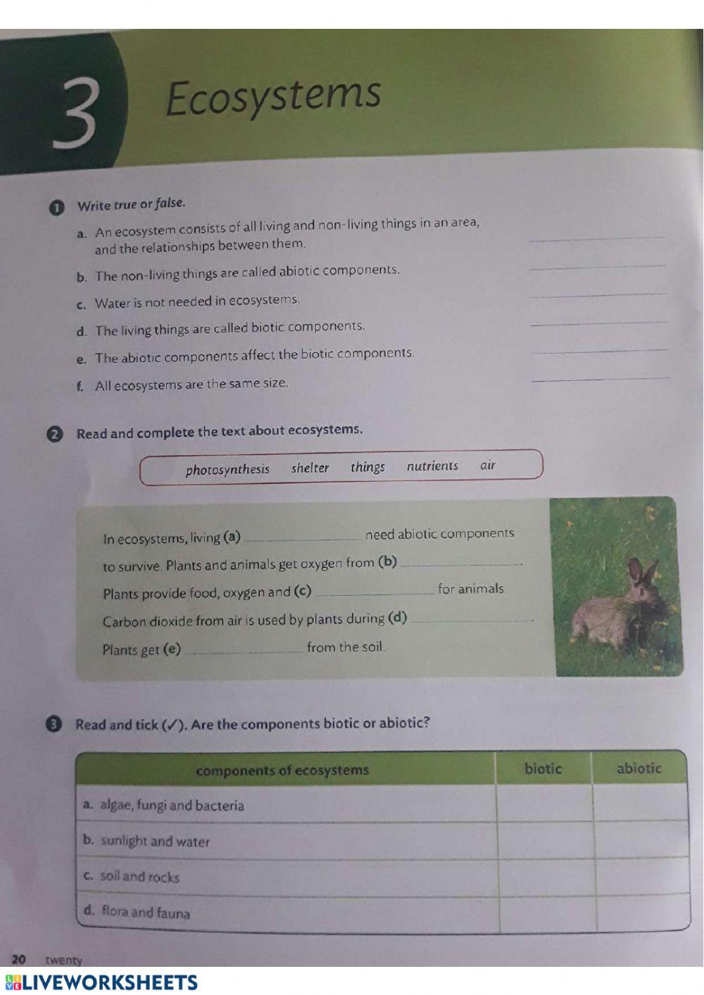 5488722 | Ecosystems | Margaret | LiveWorksheets