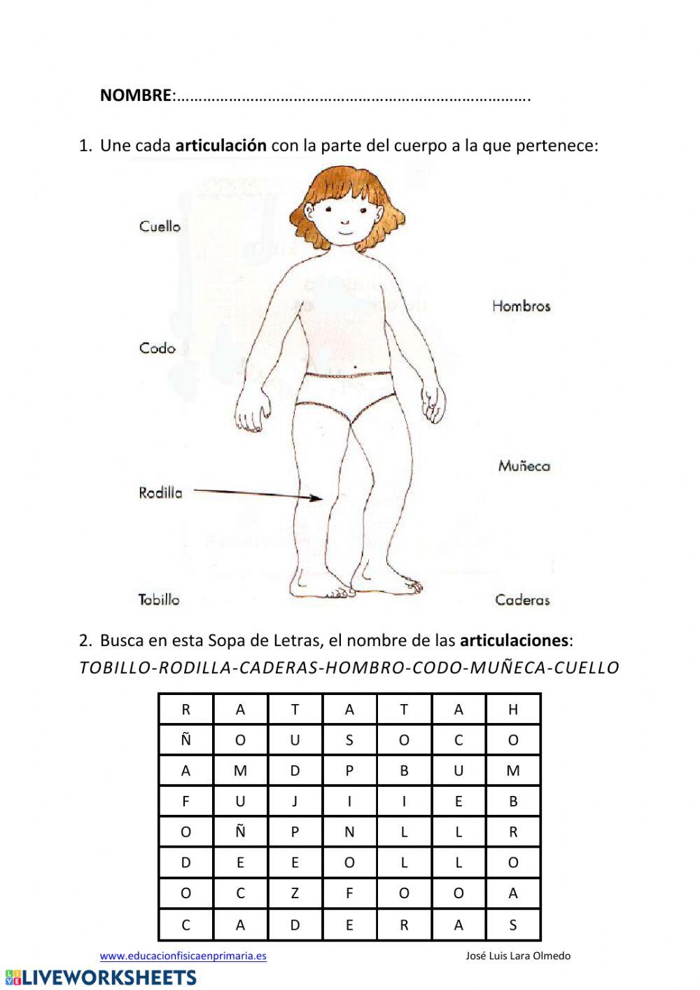 Esquema Corporal El Maravilloso Mundo Del Esquema Corporal