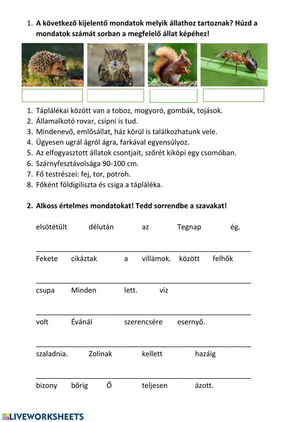 Mondatok | Free Interactive Worksheets | 108298