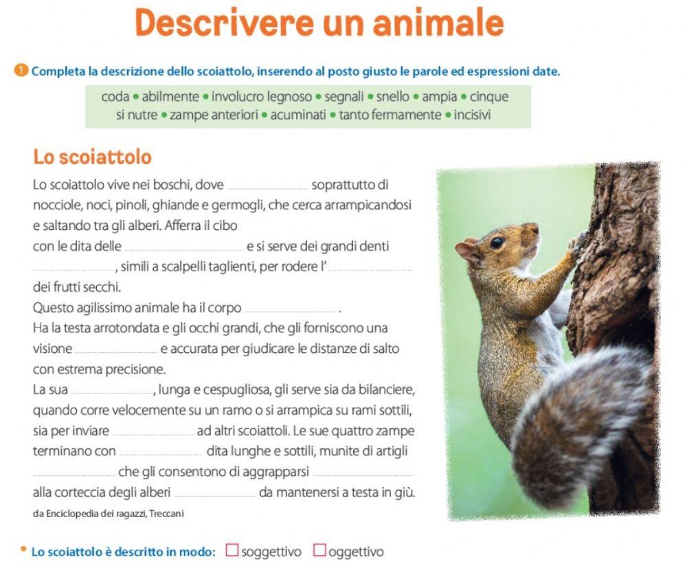 Descrizione animale worksheet | Live Worksheets