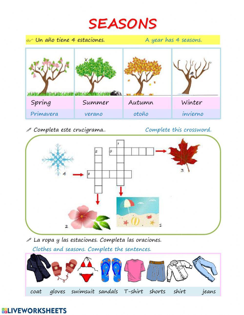 DAYS - MONTHS - SEASONS 5492195 | Nuriafv | Live