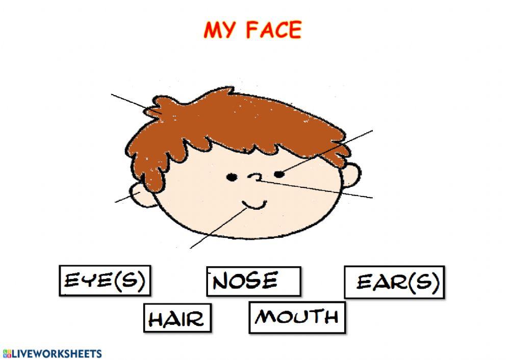 109621 | Parts of the face | sandragomezalia