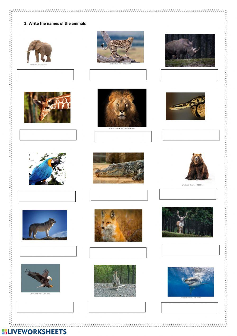 Wild animals worksheet for 2º | Live Worksheets