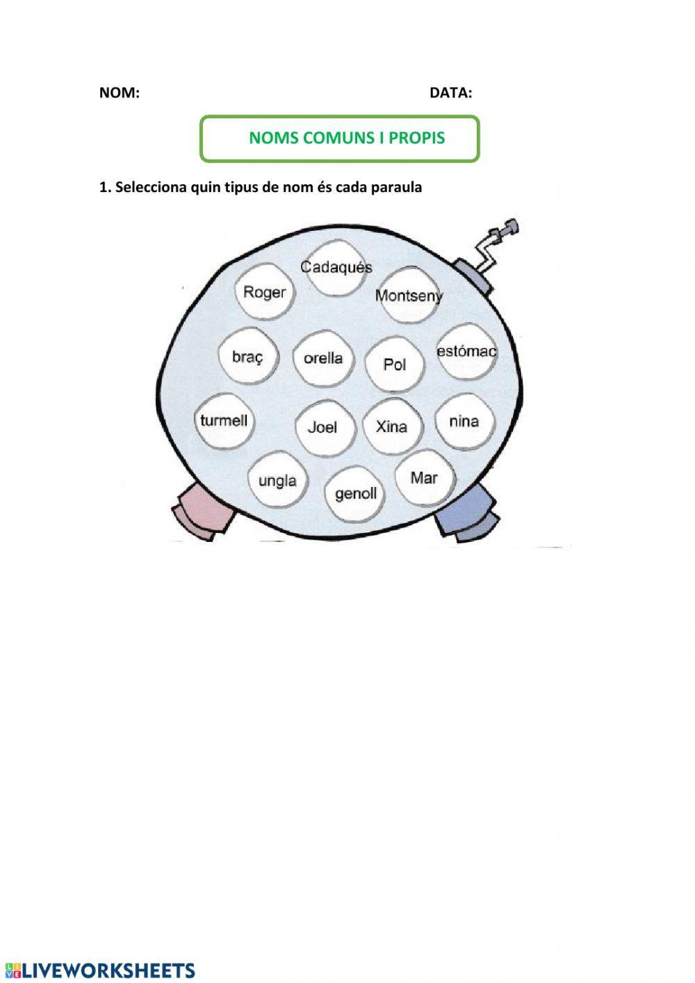 Noms propis i c… | Free Interactive Worksheets | 110201