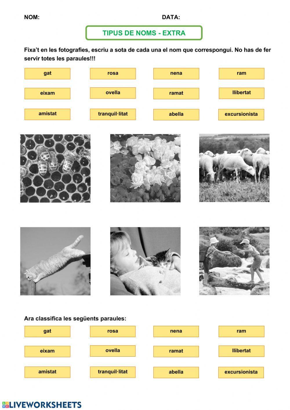 Worksheet | Live Worksheets