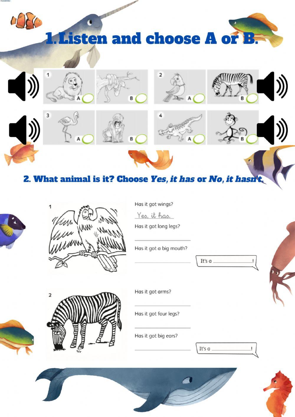 has it got...?yes, it has-No, it hasn't online exercise for | Live ...