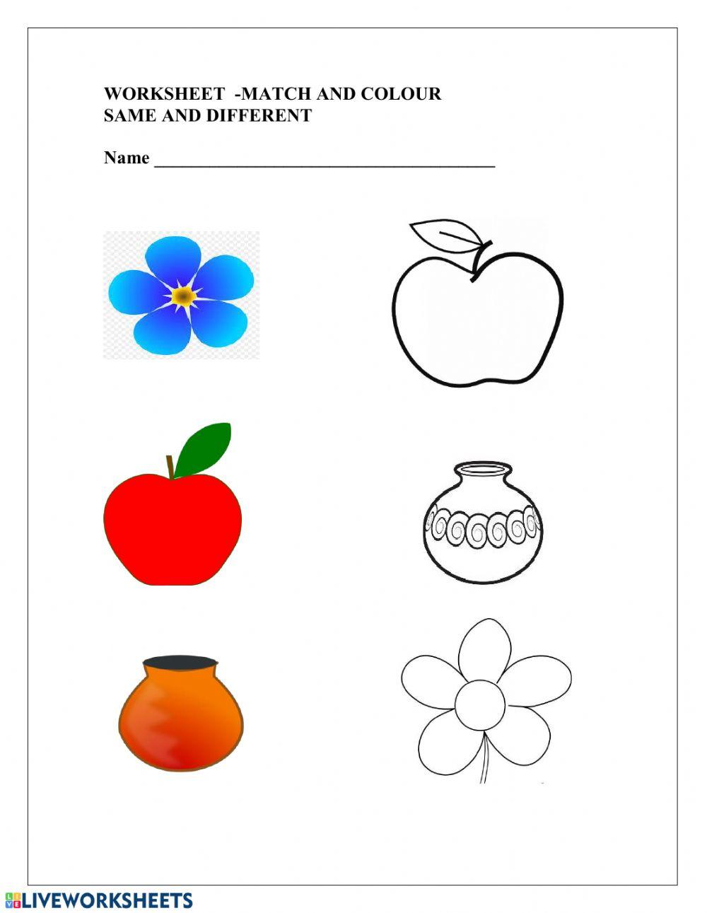 Same and different mathcing worksheet | Live Worksheets