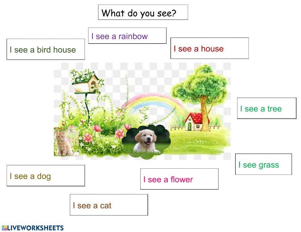 What can you see? worksheet | Live Worksheets