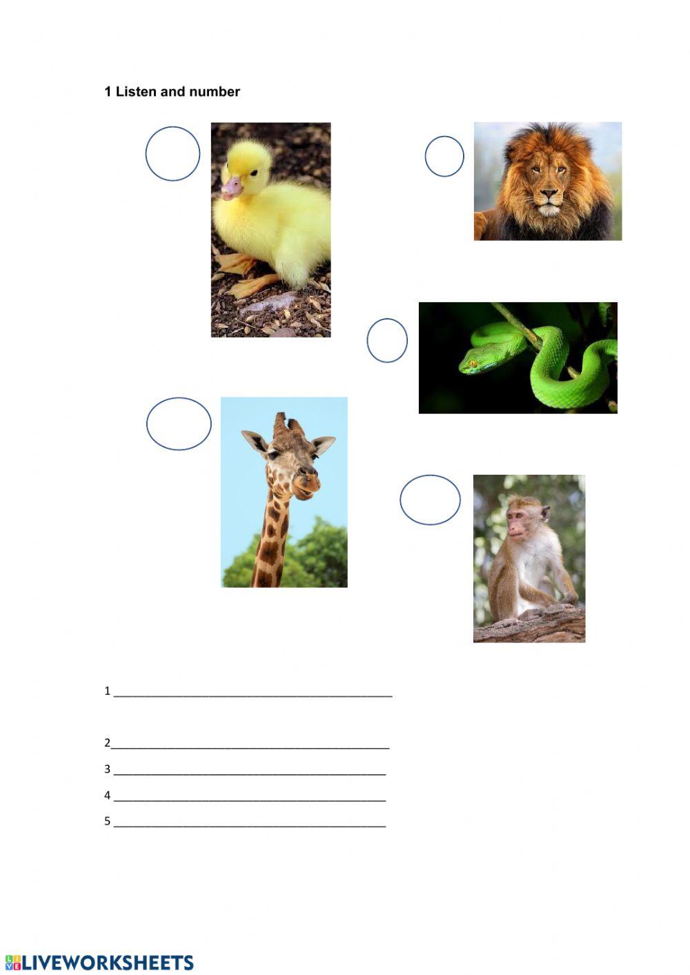 79168 | Animals | Jolanta | LiveWorksheets