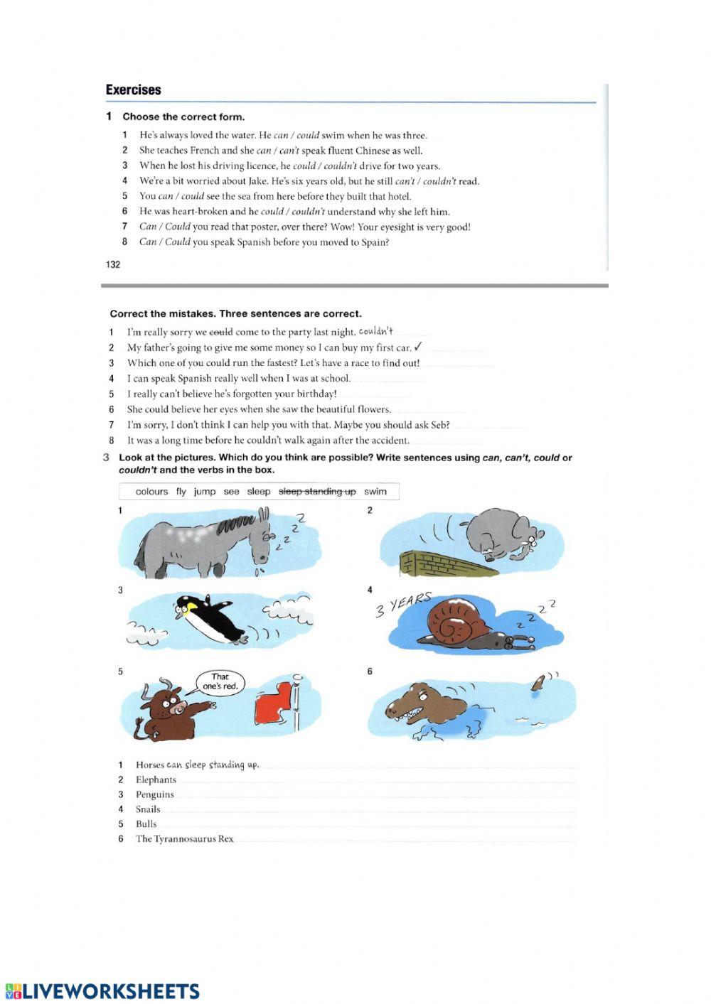 can could ability permission | milabeltran | Live