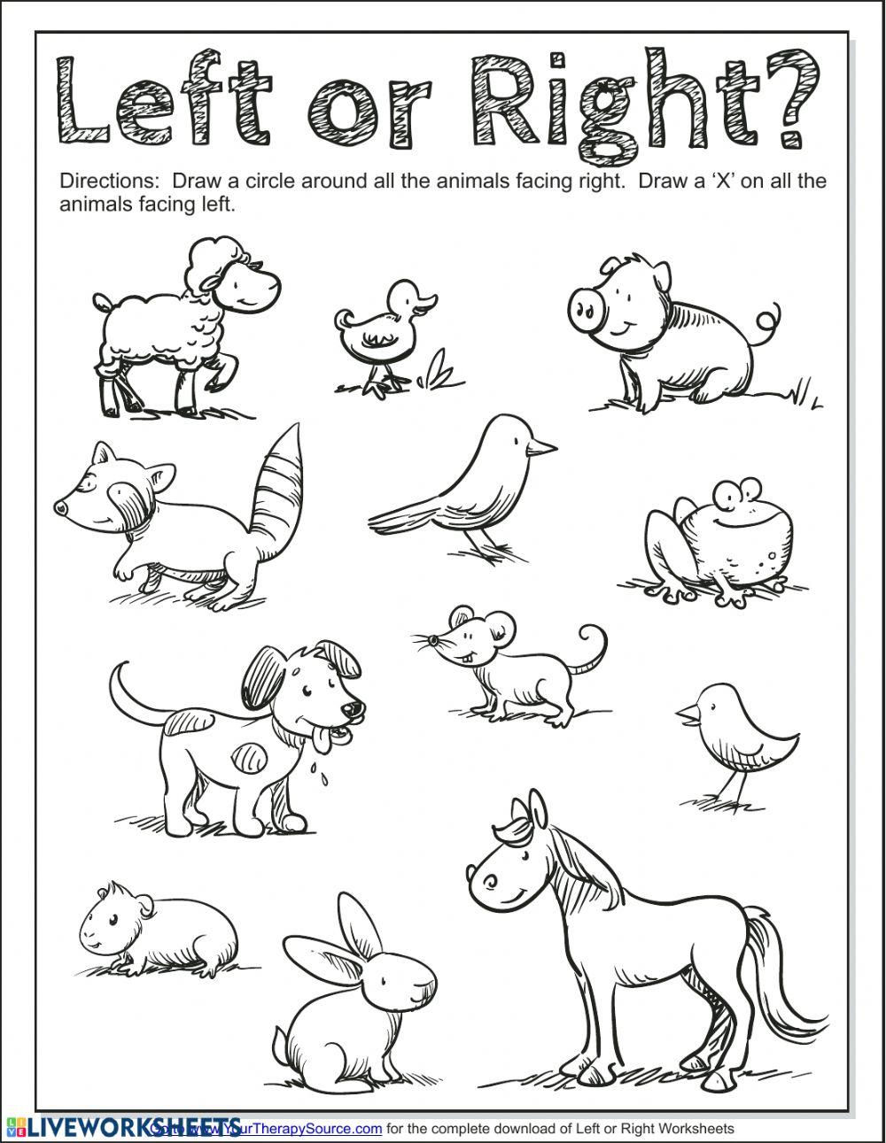 Left Right Animals online exercise for | Live Worksheets