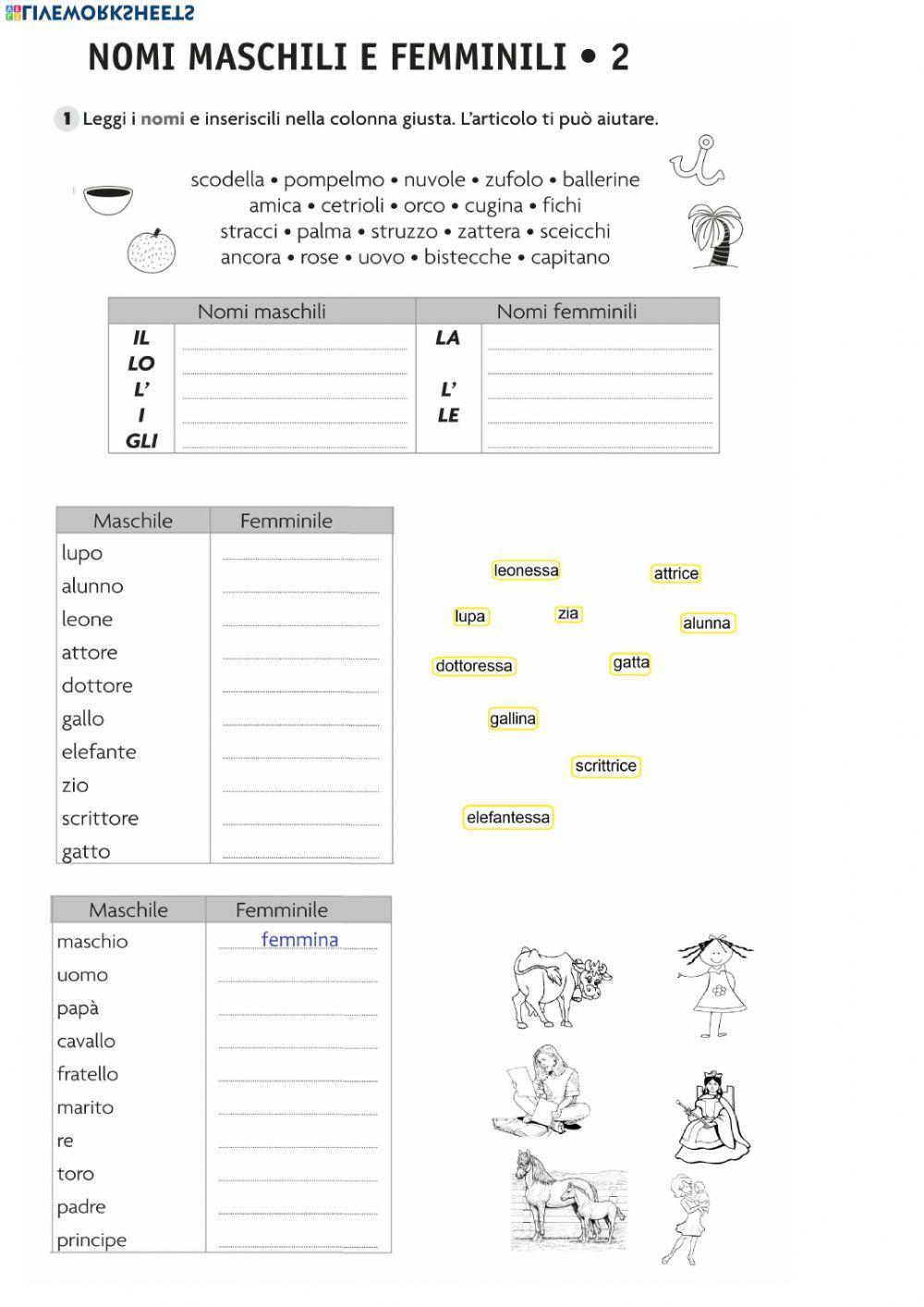 Nomi maschili - femminili e articoli worksheet | Live Worksheets