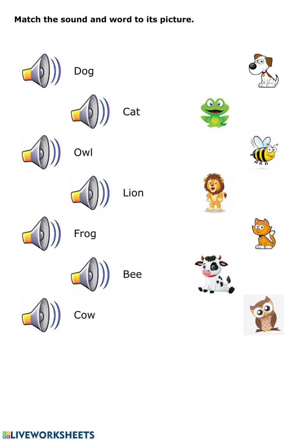 Oi Frog Activit… | Free Interactive Worksheets | 112882