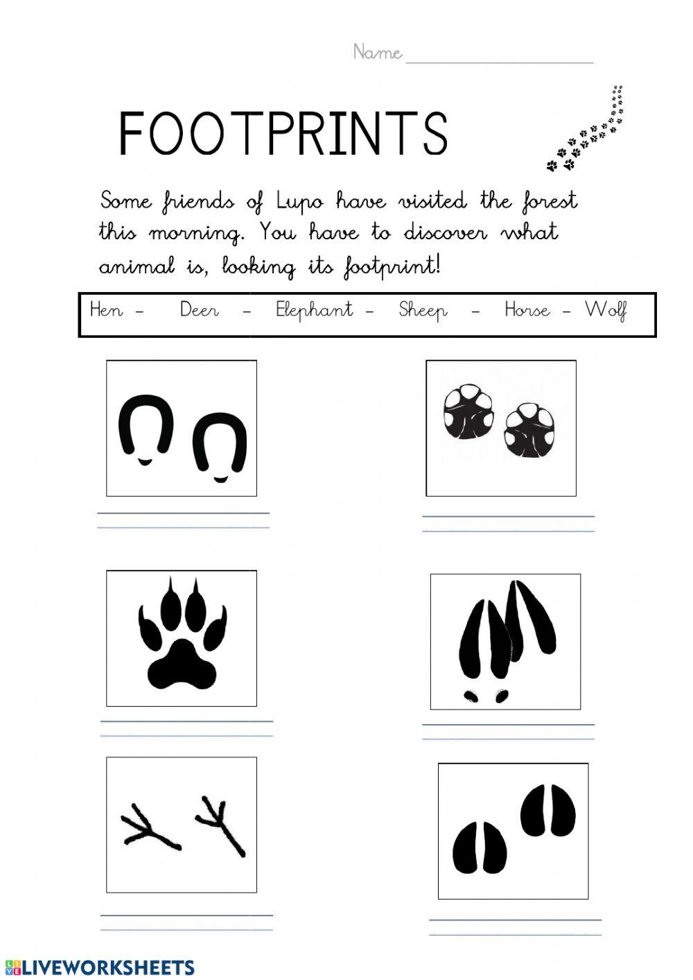 112971 | Footprints | albagascon1989 | LiveWorksheets