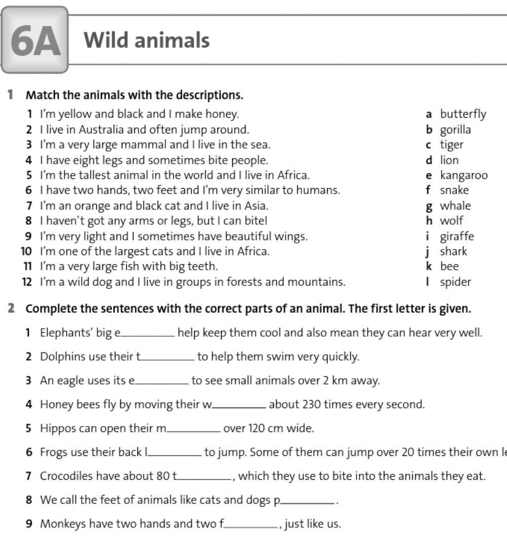 Solutions elementary. Lesson 6A. worksheet | Live Worksheets
